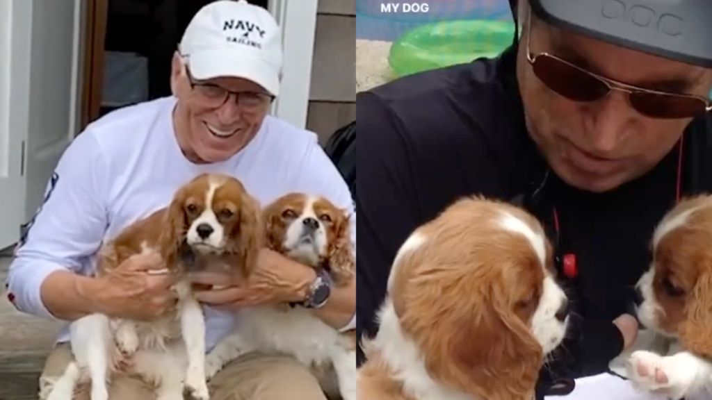 Before His Passing, Jimmy Buffett Shared a Video of His Dogs - Puppy ...