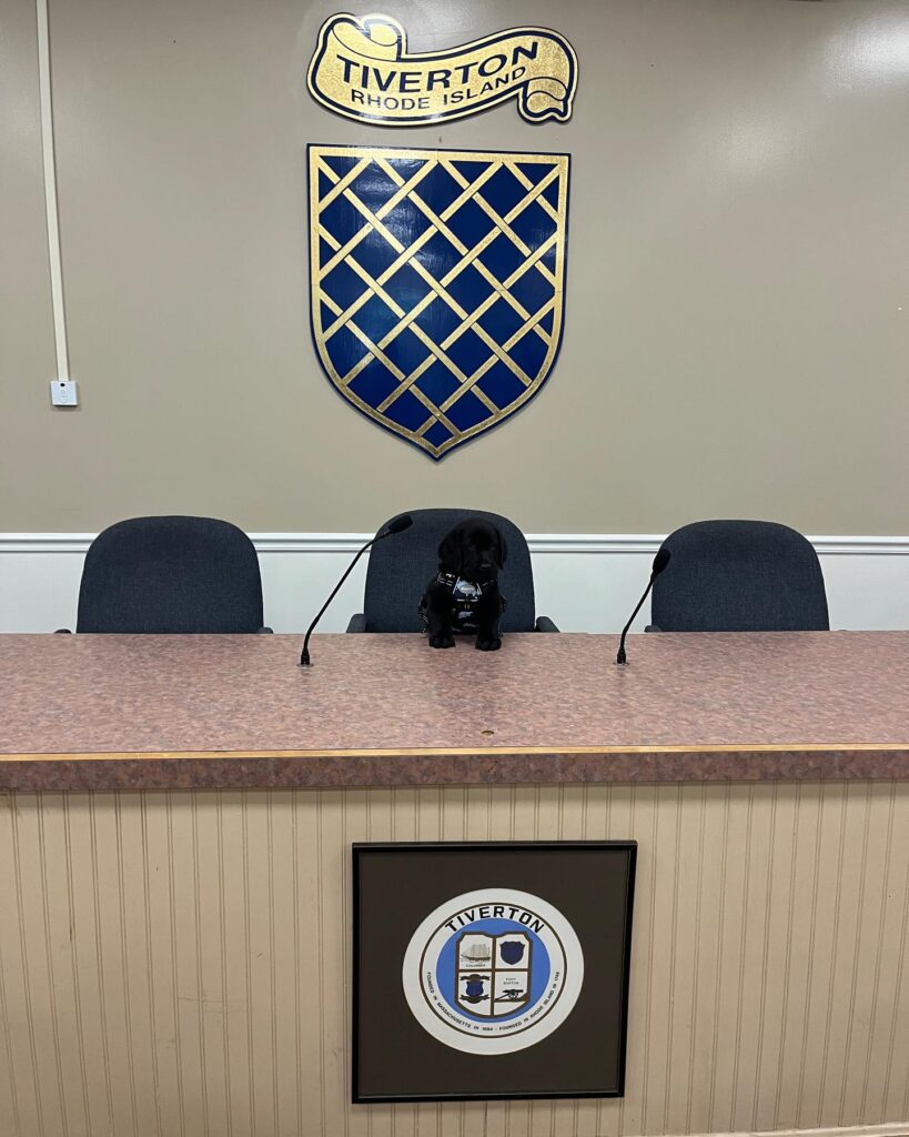 Lab Puppy Begins Role as Police Department’s First Comfort Dog (15 ...
